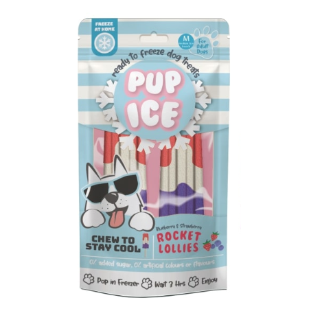 Ethical Dog Treat Pup Ice Rocket Lollies Strawberry Blueberry 2 Pack ...