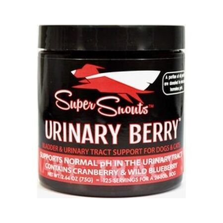 Diggin' Your Dog Supplement Super Snouts Urinary Berry Bladder 75 gm ...