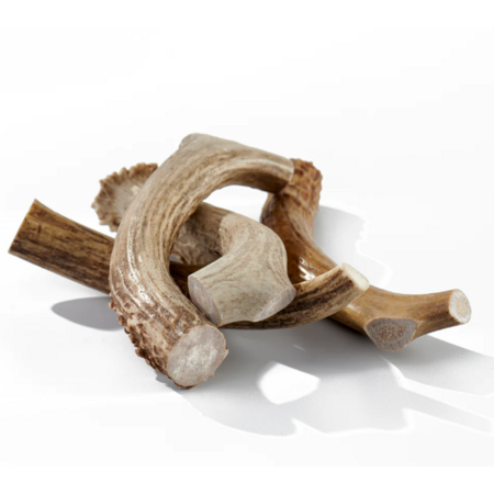 Buck Bone Dog Treat Antler Deer Whole 5# Bulk 5-8" - Southeast Pet ...