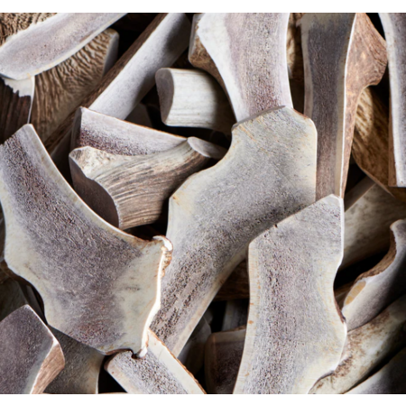 Buck Bone Dog Treat Antler Bulk 5# Elk 5-8" Split - Southeast Pet ...